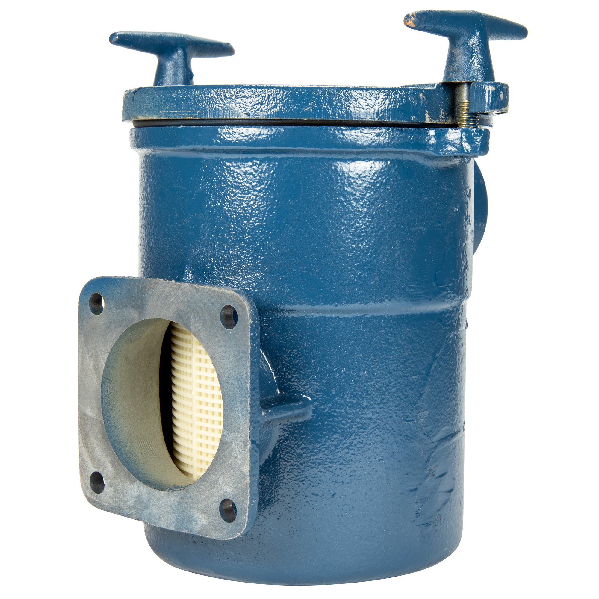 Pentair PKG 51 Cast Iron Trap with Basket, 6 in.