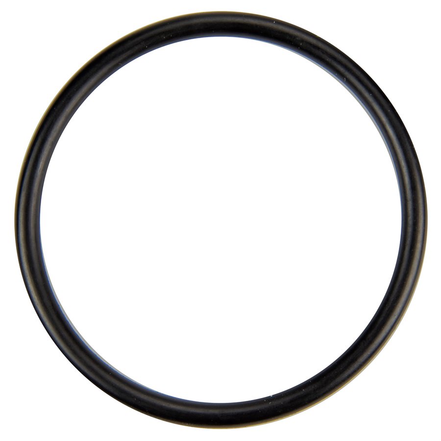 Pentair U9-226 O-Ring Diffuser
